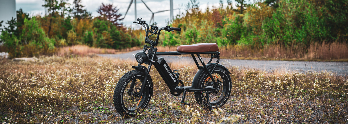 Replacement Parts – Roll Road Ebike