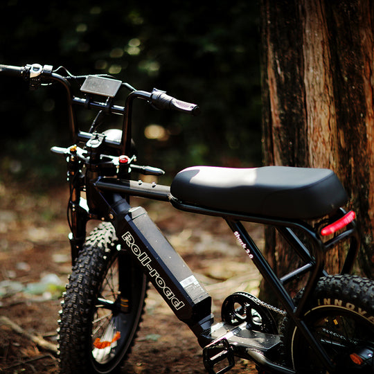 EMMA 1000W Ebike 30+MPH|Moped Style Ebike – Roll Road Ebike